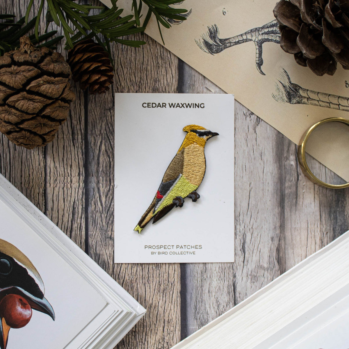 Cedar Waxwing Bird Patch – Bird Collective