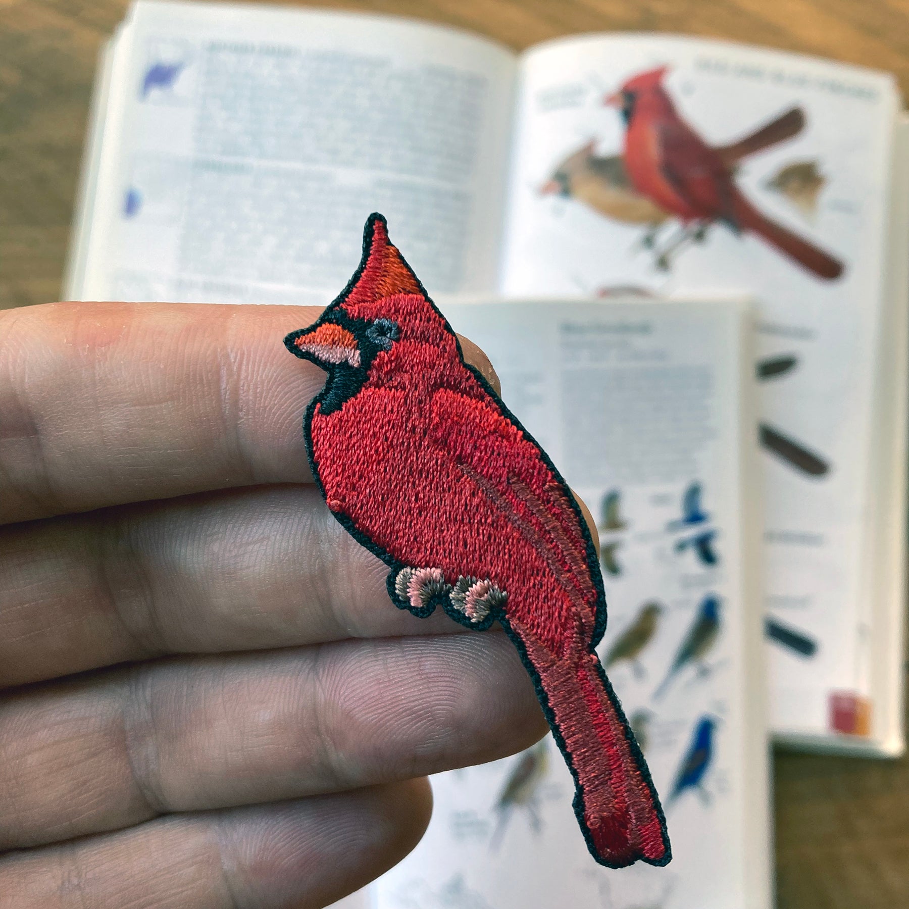 Northern Cardinal Patch – Bird Collective