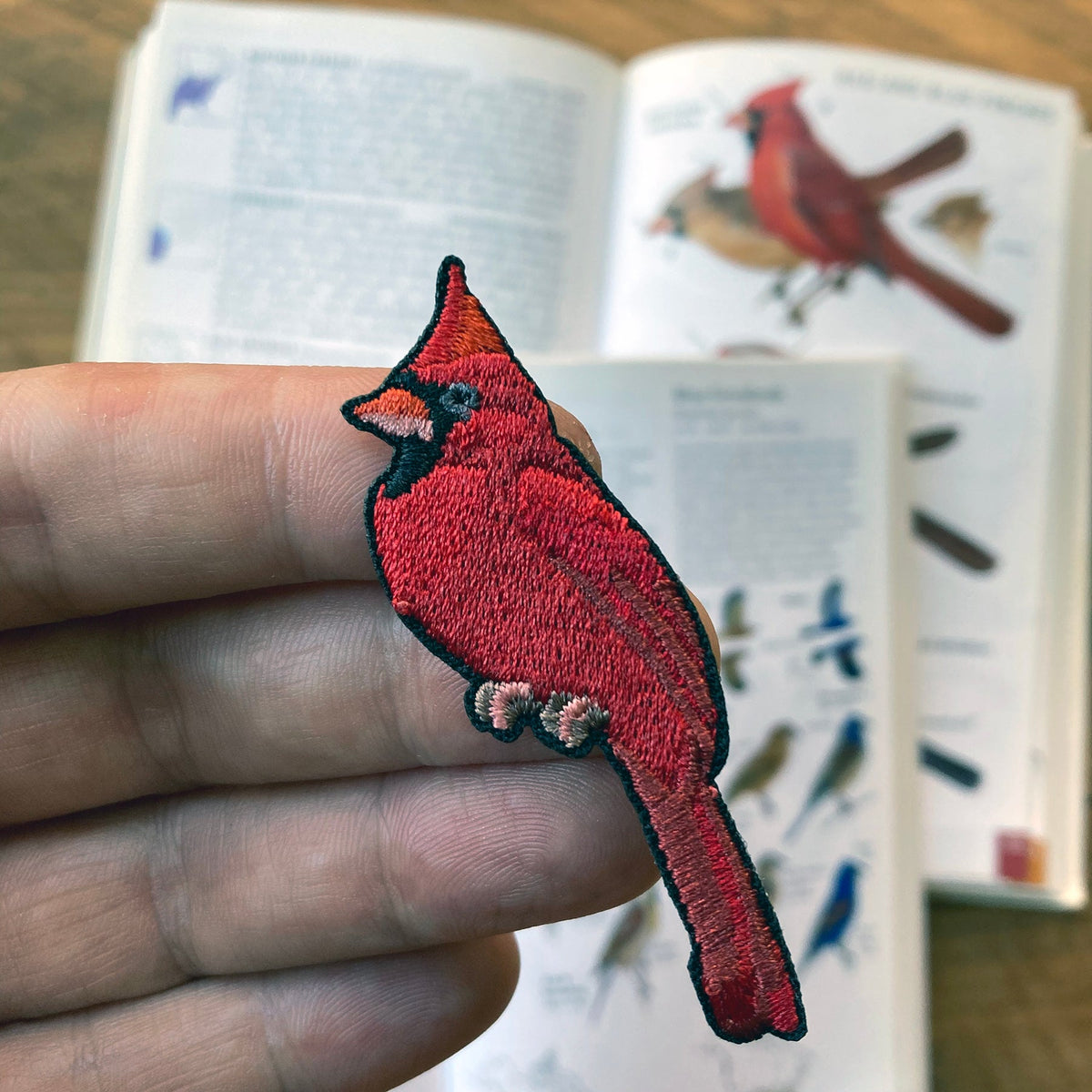 Northern Cardinal Patch – Bird Collective