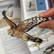 Bird Patches & Bird Appliques | Bird Collective