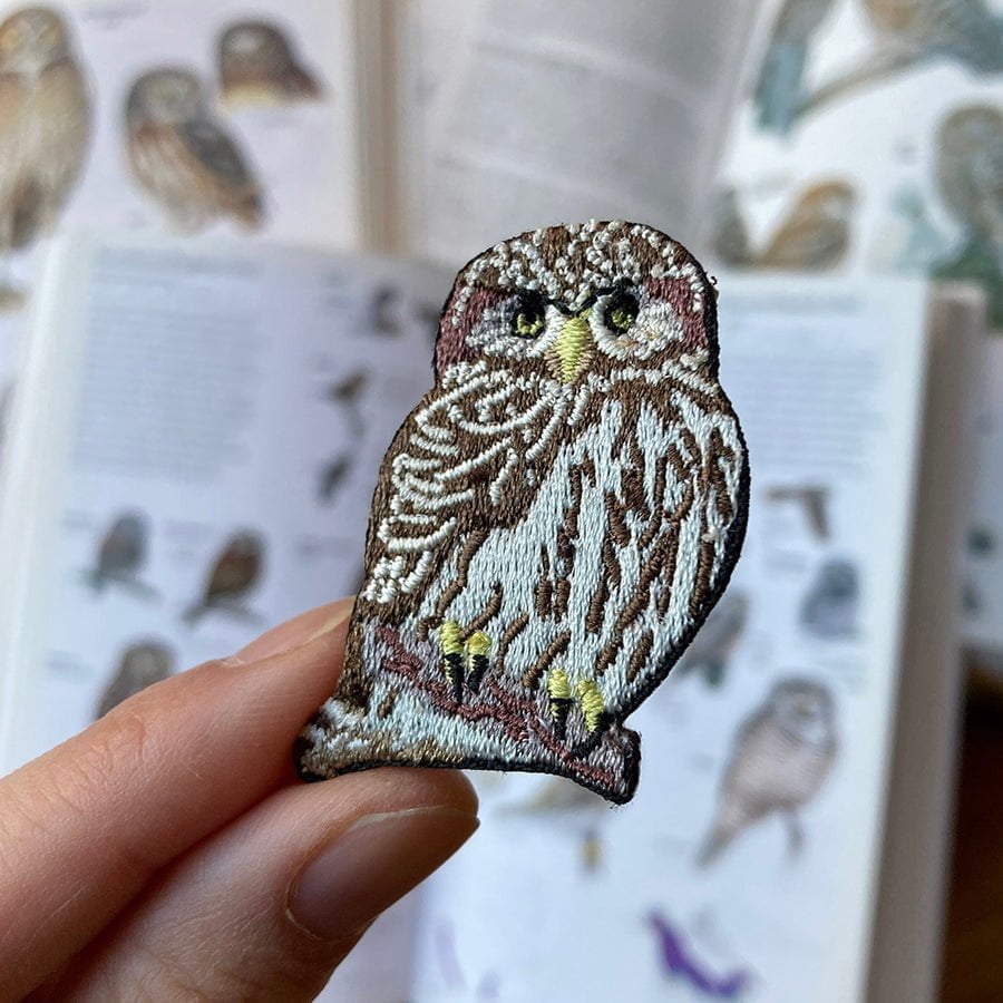 Northern Pygmy-Owl Patch – Bird Collective