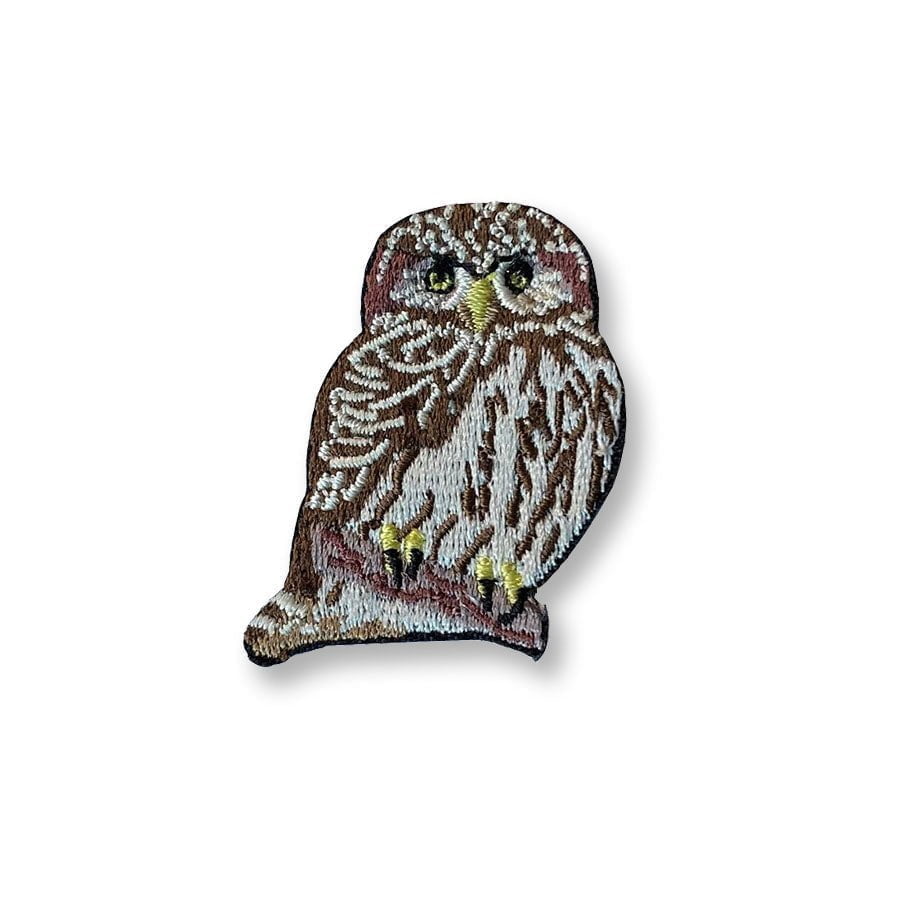 Northern Pygmy-Owl Patch – Bird Collective